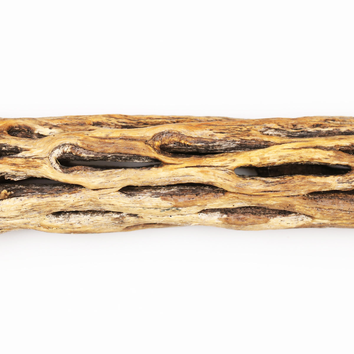 Natural Cholla Wood 3" – Nature Aquascapes